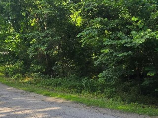 Linwood Rd, Merriam Woods, MO 65740