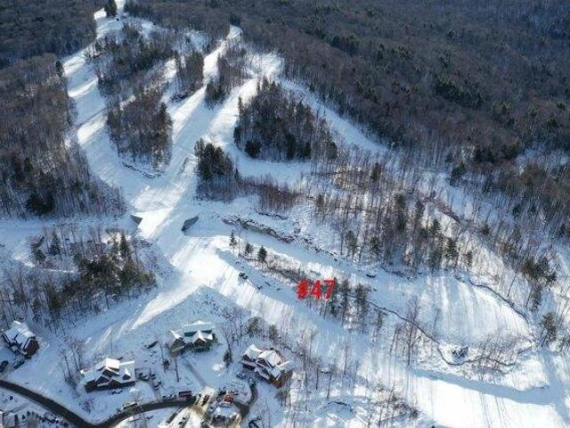 Lincoln NH 03251 102318656