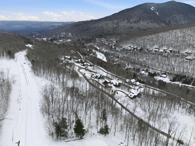 Lincoln NH 03251 103665137