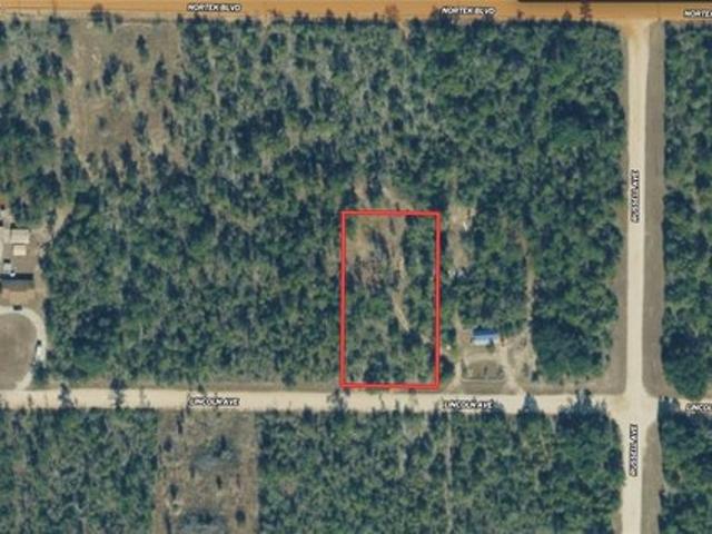 Lincoln Ave, Alford, FL 32420