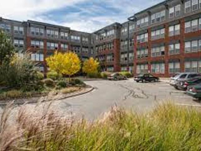 Lincoln Pointe Lofts 1 Bedroom Apartment for Rent at 9783 Pyramid Ct, Englewood, CO 80112