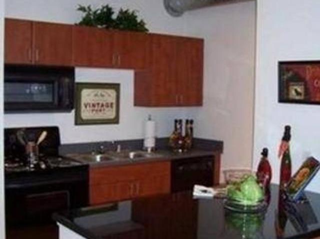 Lincoln Pointe Lofts 2 Bedroom Apartment for Rent at 9783 Pyramid Ct, Englewood, CO 80112