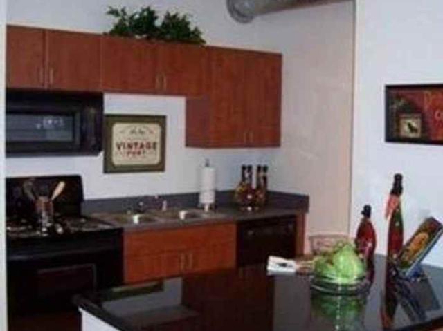 Lincoln Pointe Lofts 2 Bedroom Apartment for Rent at 9783 Pyramid Ct, Englewood, CO 80112
