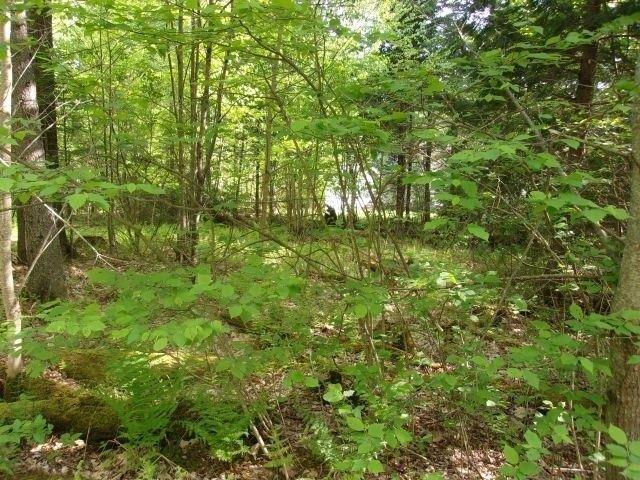 Lincoln Way Lot,haverhill, Plot For Sale