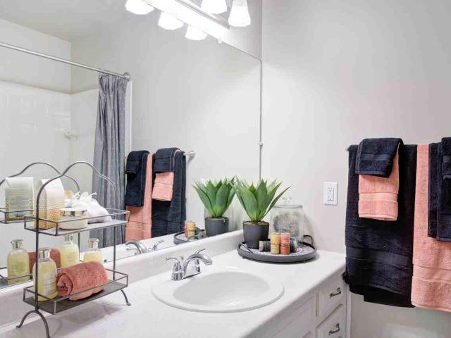 Lincoya Bay Apartments and Townhomes 1 Bedroom Apartment for Rent at 3000 Lincoya Bay Dr, Nashville, TN 37214