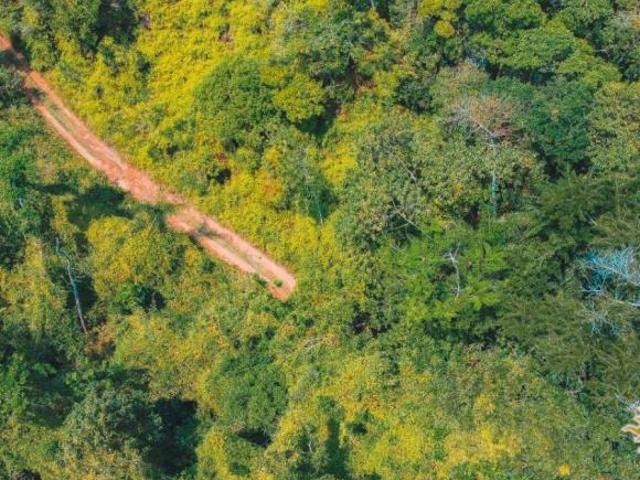 Linda área de 94.842 m2, testada de 293 para faixa da Marinha com laudo ambiental !