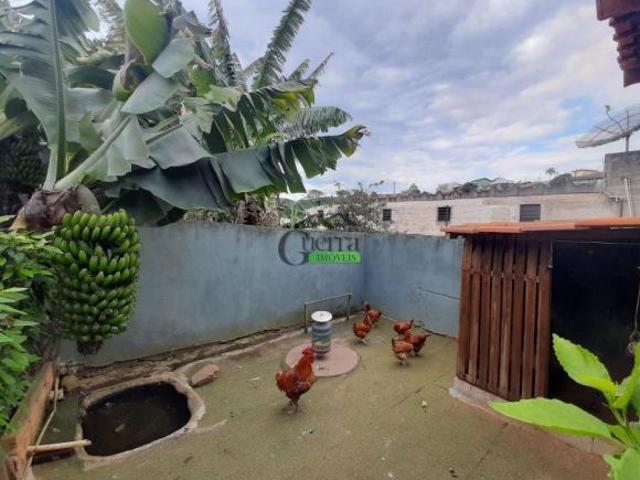 Linda Casa com lago e horta!