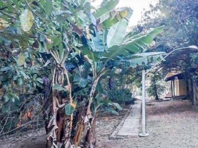 Linda Casa em meio a natureza!