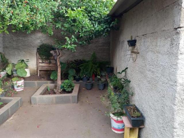 LINDA CASA EM LOTE DE 180 METROS COM 03 QUARTOS NO BAIRRO FLORENÃ?A EM RIBEIRÃ?O DAS NEVES