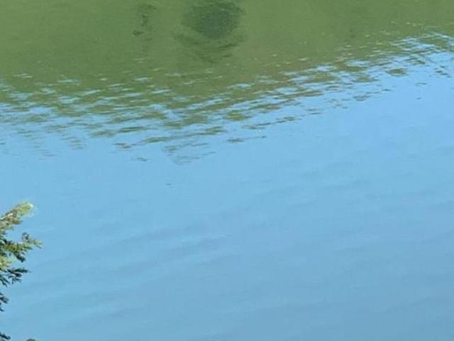 LINDA CHÁCARA,À BEIRA DA REPRESA PÉ NA AGUA, A 5 MINUTOS DO CENTRO DE IGARATA EM IGARATÁ SP