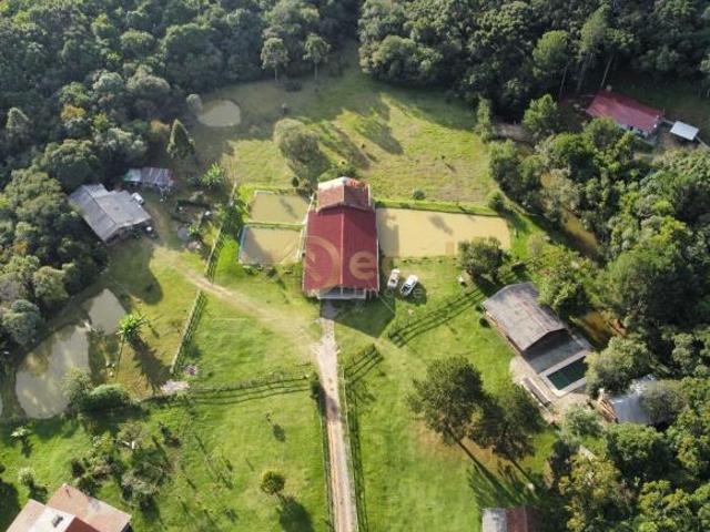 Linda Chácara à venda em Campo Largo/PR São João do Povinho Ideal para formação de pesque e pague