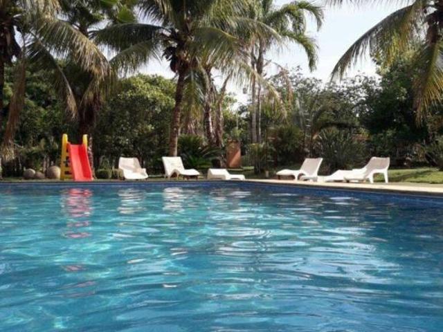 Linda Chácara à Venda em São José do Rio Preto | 5.000 m² | Porteira Fechada | Piscina | SF