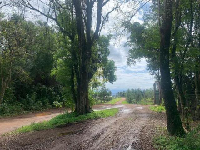 Linda chácara a venda em Taquara bairro Morro Negro