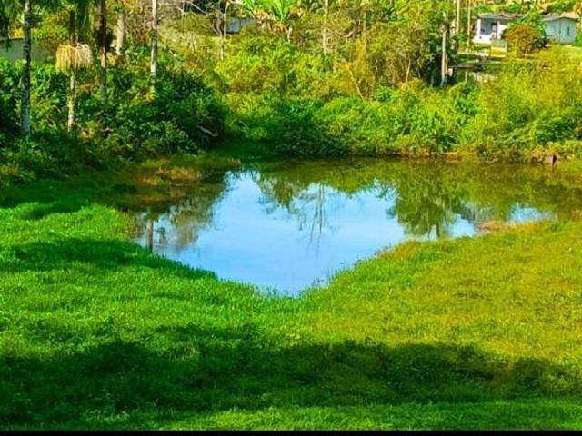 Linda Chácara com piscina e lago a 3 km do asfalto, em Juquitiba SP