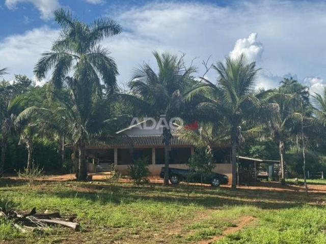 Linda Chácara de 1 Alqueire na Divisa de Goiânia/Nerópolis pela GO 080 Goiás Chácara à Venda, 4840