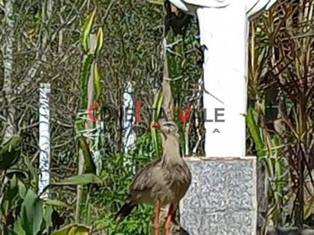 LINDA CHÁCARA EM MONTEIRO LOBATO 30.000 m²