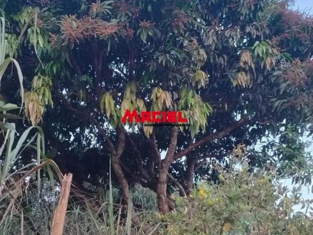LINDA CHACARA EM JAMBEIRO, SEU LOCAL DE DESCANSO