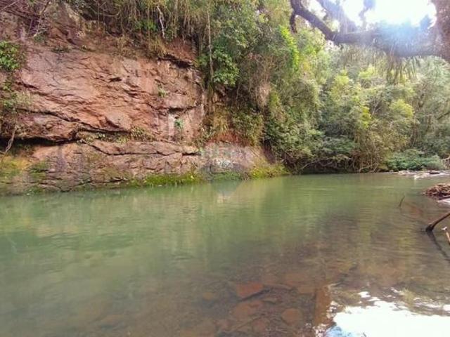 Linda Chácara: Refúgio em Rolante à Venda