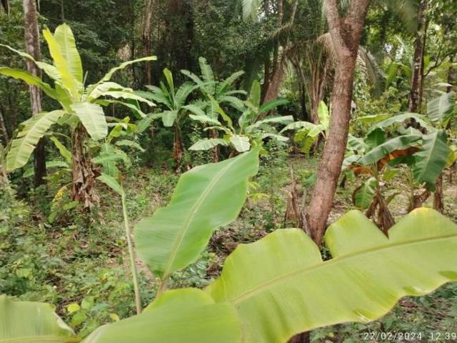 LINDA CHÁCARA URBANA NA CHAPADA DOS VEADEIROS