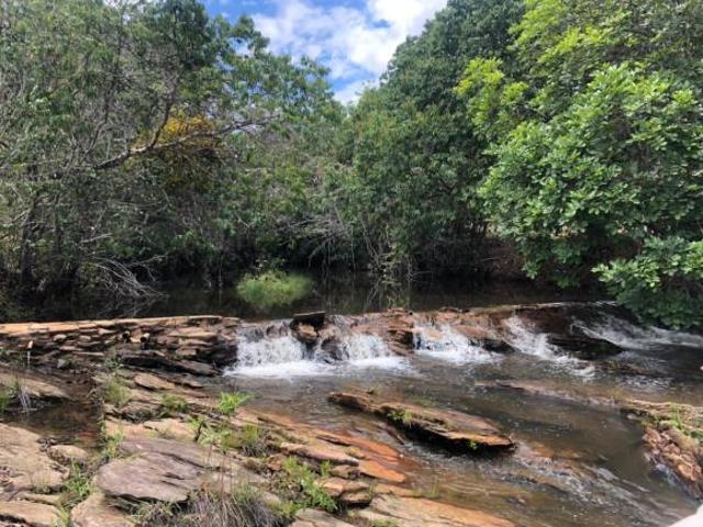 Linda Fazenda com 36 ha rica em água – Cocalzinho/GO!