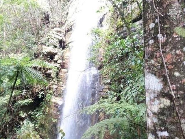 Linda Fazenda de 195 ha em Morro do Pilar na Serra do Cipó 3 Lindas Cachoeiras
