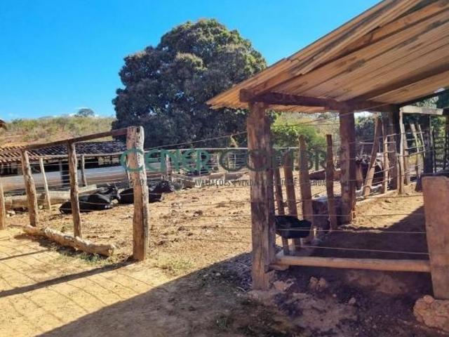 Linda Fazenda de 86 ha em Pitoresco Local Às Margens do Rio Cipó