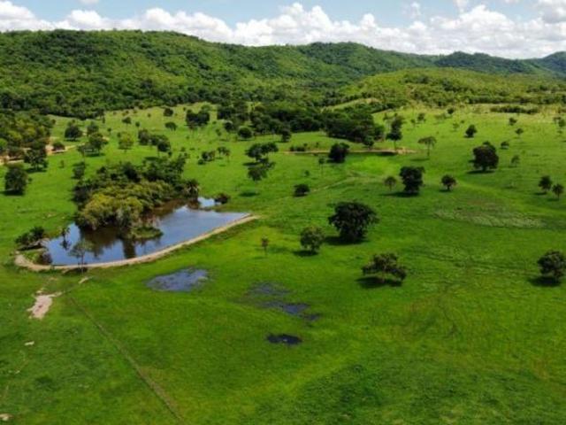 Linda Fazenda em Formosa Go 58 Alqueires
