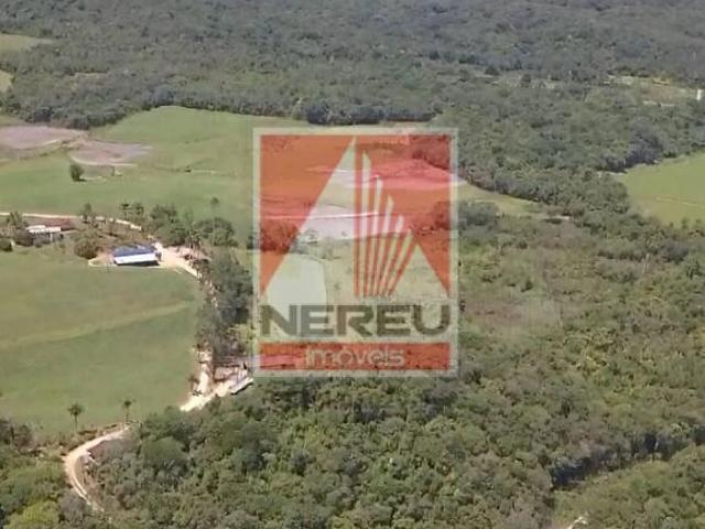 Linda Fazenda Produtiva à Venda – Especializada em Feno | 230 Hectares