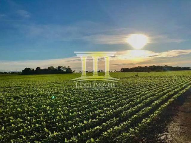 Linda fazenda 55.000 ha com 21.000 aberto em pasto antigo e limpo facil para transformar em Lavoura