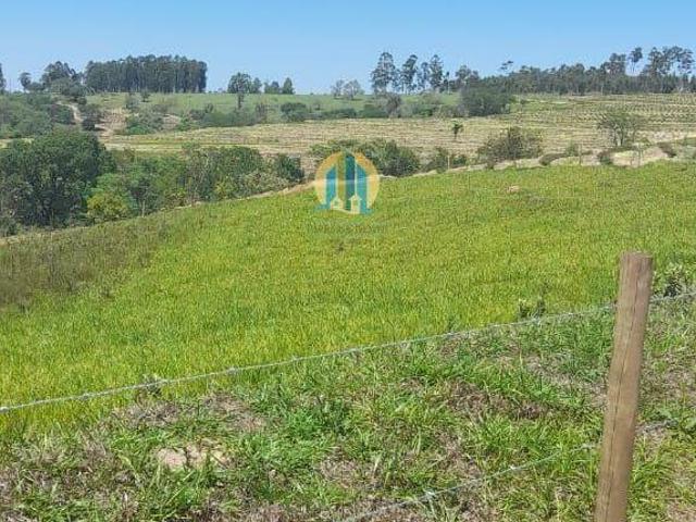 Linda Fazenda/SP