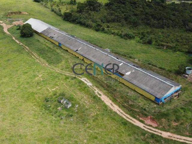 Linda fazendinha de 16,5 ha com lavouras e granja de frango