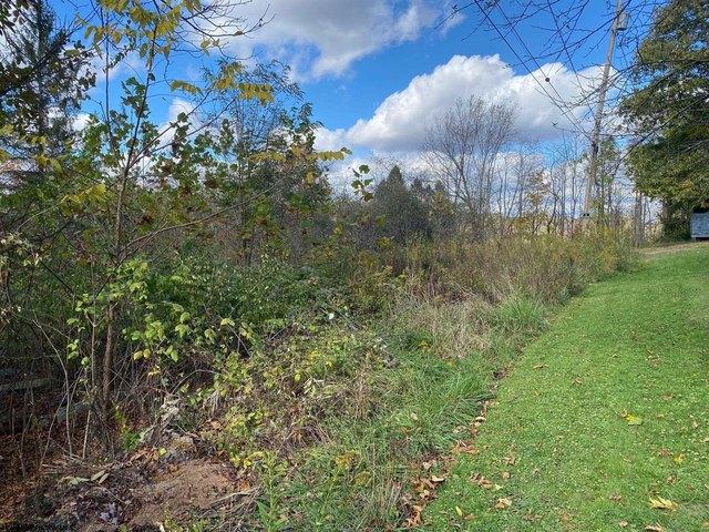 Linda Ln, Elkins, WV 26241