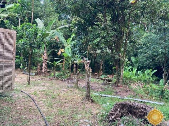 Linda propriedade: Sitio com 3.000 m² com 04 Kitnet mais casa principal com cachoeira nos fundos !