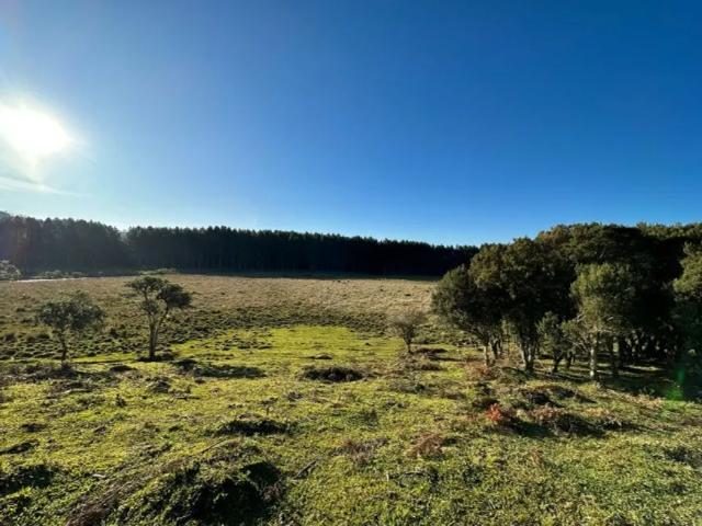 Linda área com 2 hectares à venda