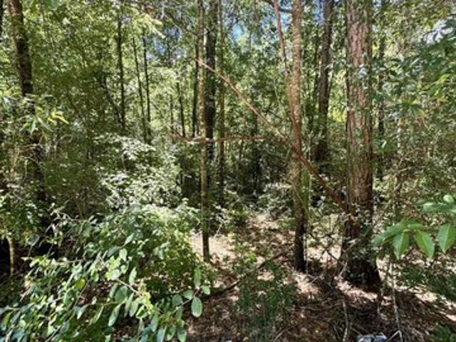 Linda St, Andalusia, AL 36421