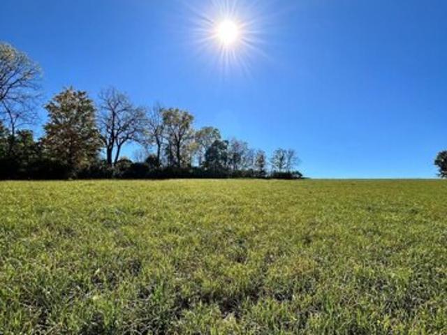 Linden Hall Rd Lot,boalsburg, Plot For Sale