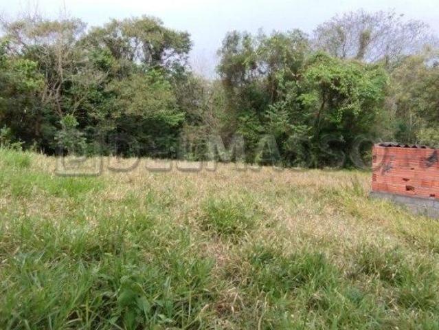 Lindo terreno cercado de verde!