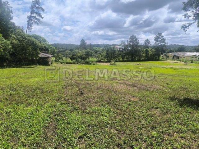 Lindo terreno com 3 alqueires ideal para plantio ou loteamento!