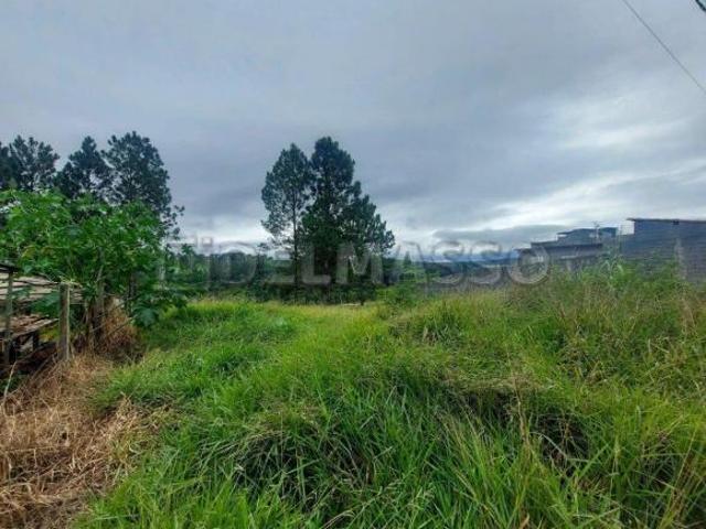 Lindo terreno com boa topografia!