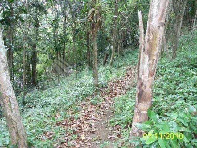 LINDO TERRENO COM MARAVILHOSA VISTA PARA O MAR