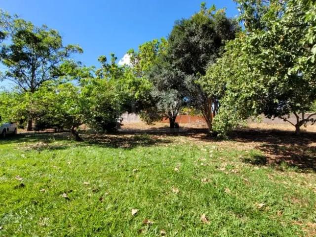 Lindo terreno com pomar no Bairro dos Moretti