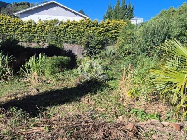 Lindo Terreno de esquina com 582m2 no Bairro Imigrante