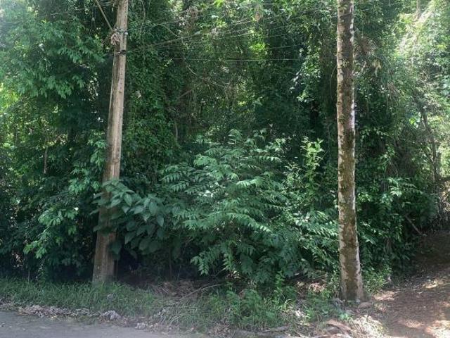 Lindo Terreno de 1014m² no Condomínio Amigos de Siriúba, Ilha Bela ? Viva o Paraíso à Beira Mar!