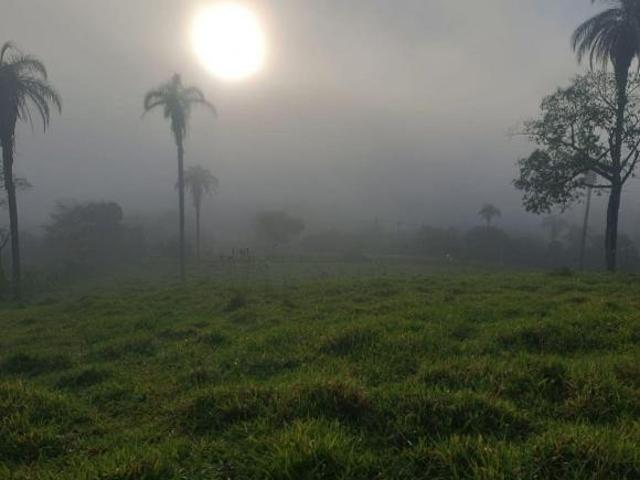 Lindo terreno de 12000 m² em Belo Vale