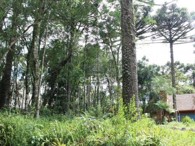LINDO TERRENO JUNTO AO LAGO NEGRO