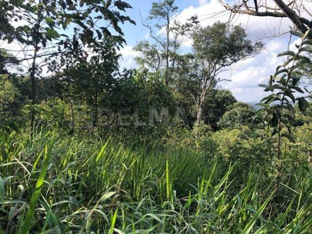 Lindo terreno para a Bunjiro Nakao!