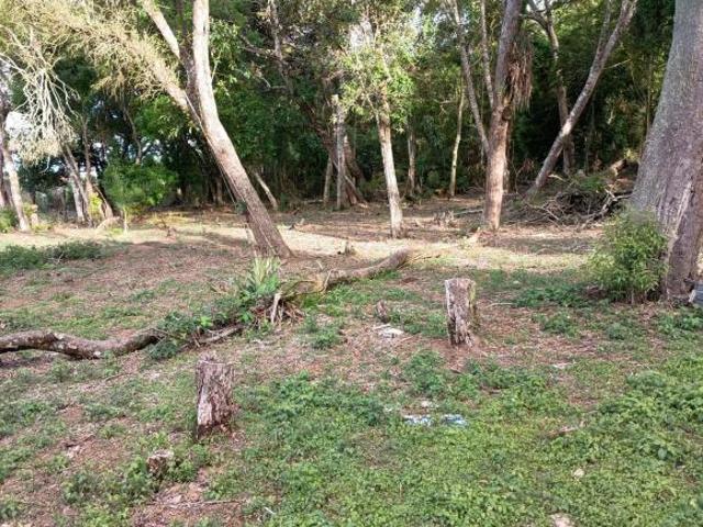 LINDO TERRENO PARA FORMAR SUA CHÁCARA!