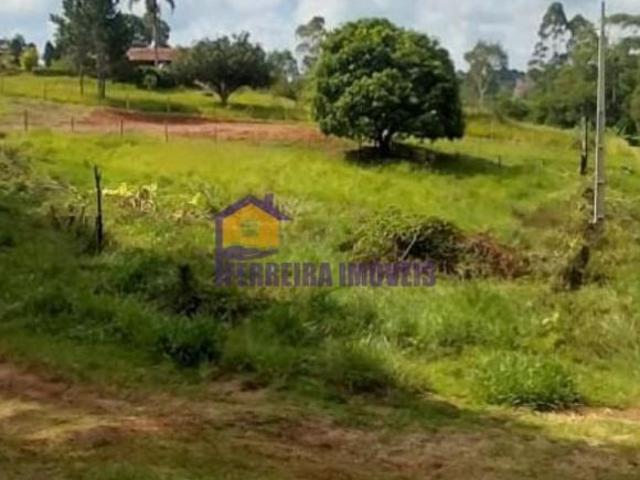LINDO TERRENO