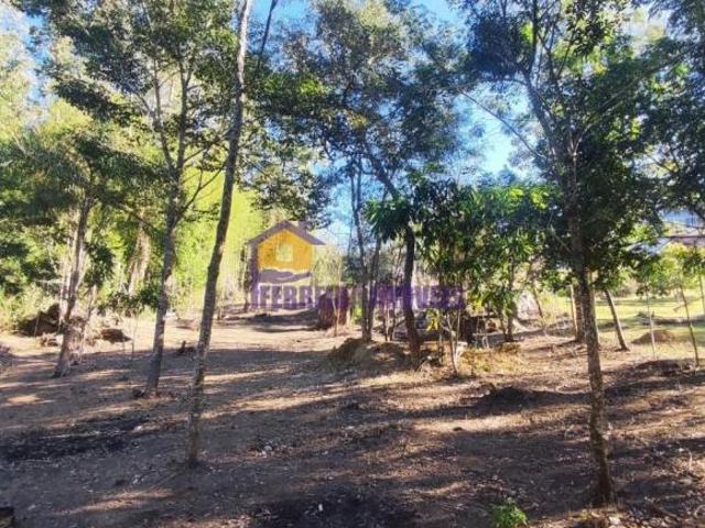 lindo terreno