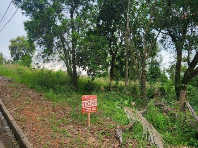 Lindo terreno